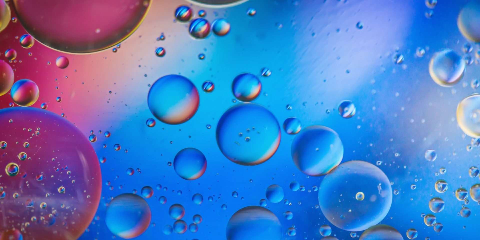 Dehydration station | Virasoap Natural Medicine