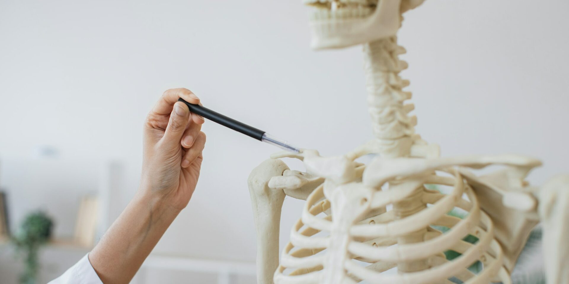 The Link Between Bone Health and Mitochondria | Virasoap Natural Medicine