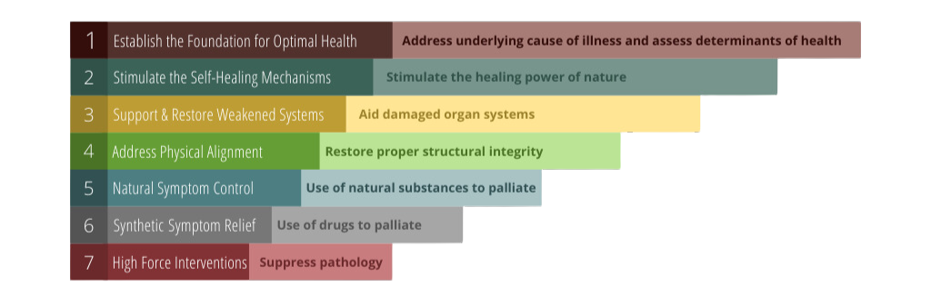 The Therapeutic Order of Naturopathic Medicine Doctors | Virasoap ...